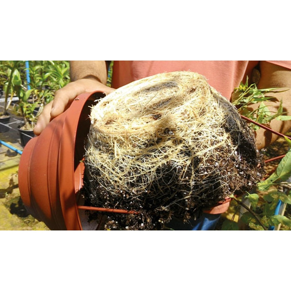 Mix Substrato Inerte Favorita 50% Turfa 50% Perlita 25L - GRAMA Cultivo