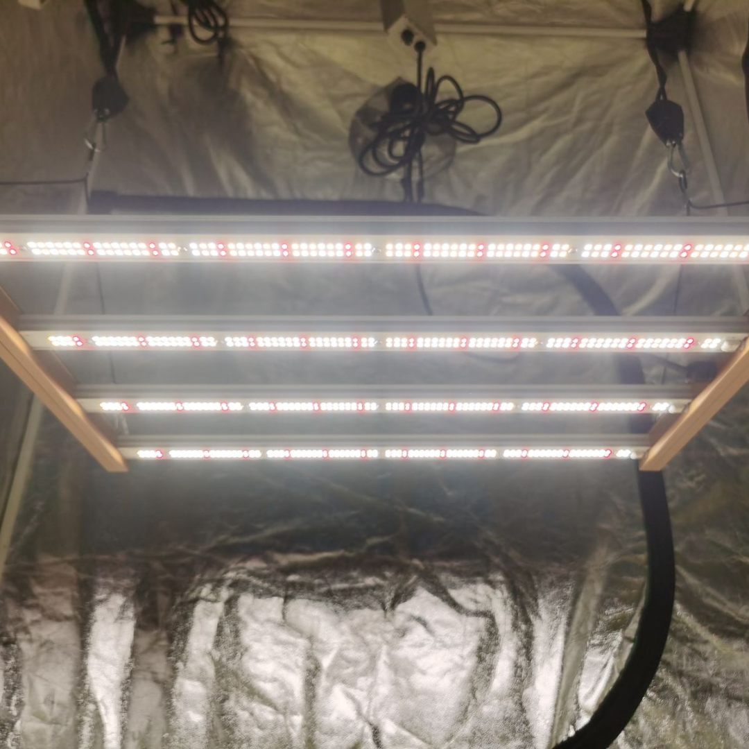 Painel de LED Quantum Barra 240W Pro Mid MasterPlants - GRAMA Cultivo